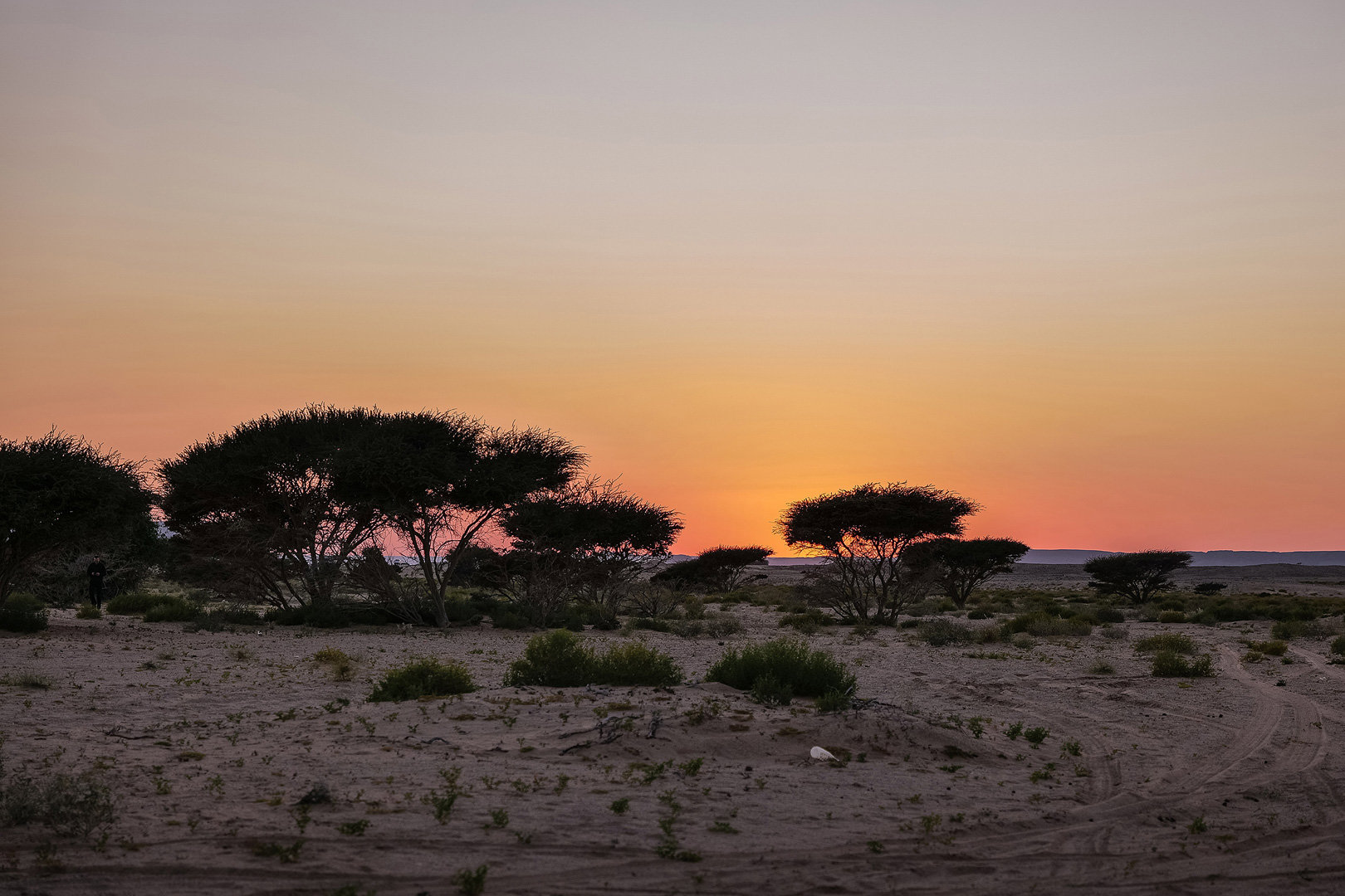 Reflections on an expedition – Oman - RGS