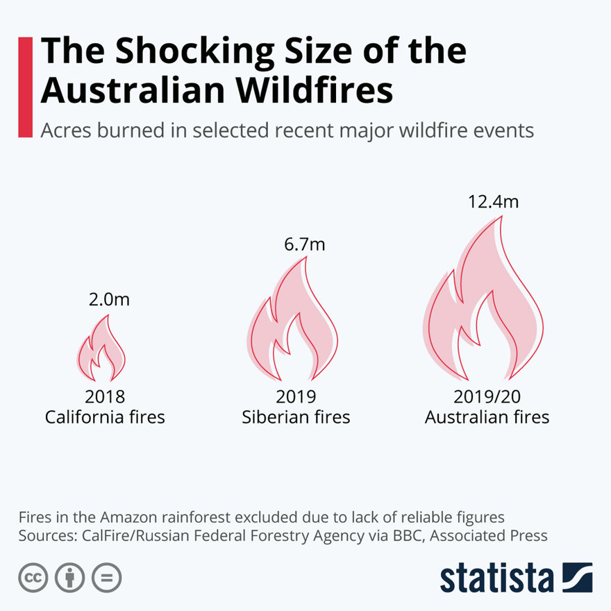 What is wildfire? - RGS