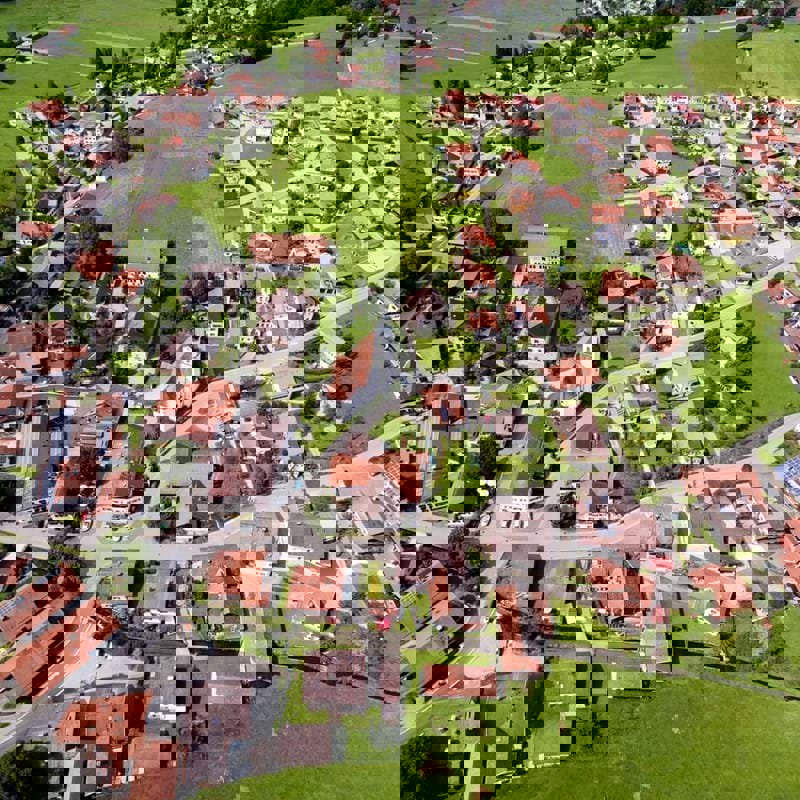 Clone town survey - RGS