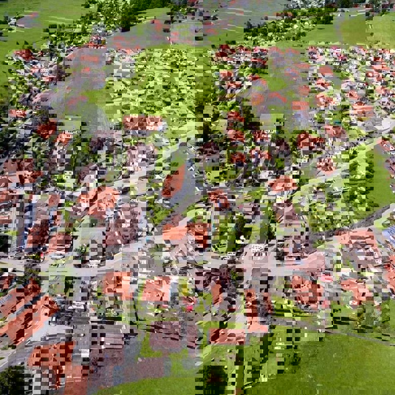 Clone town survey - RGS