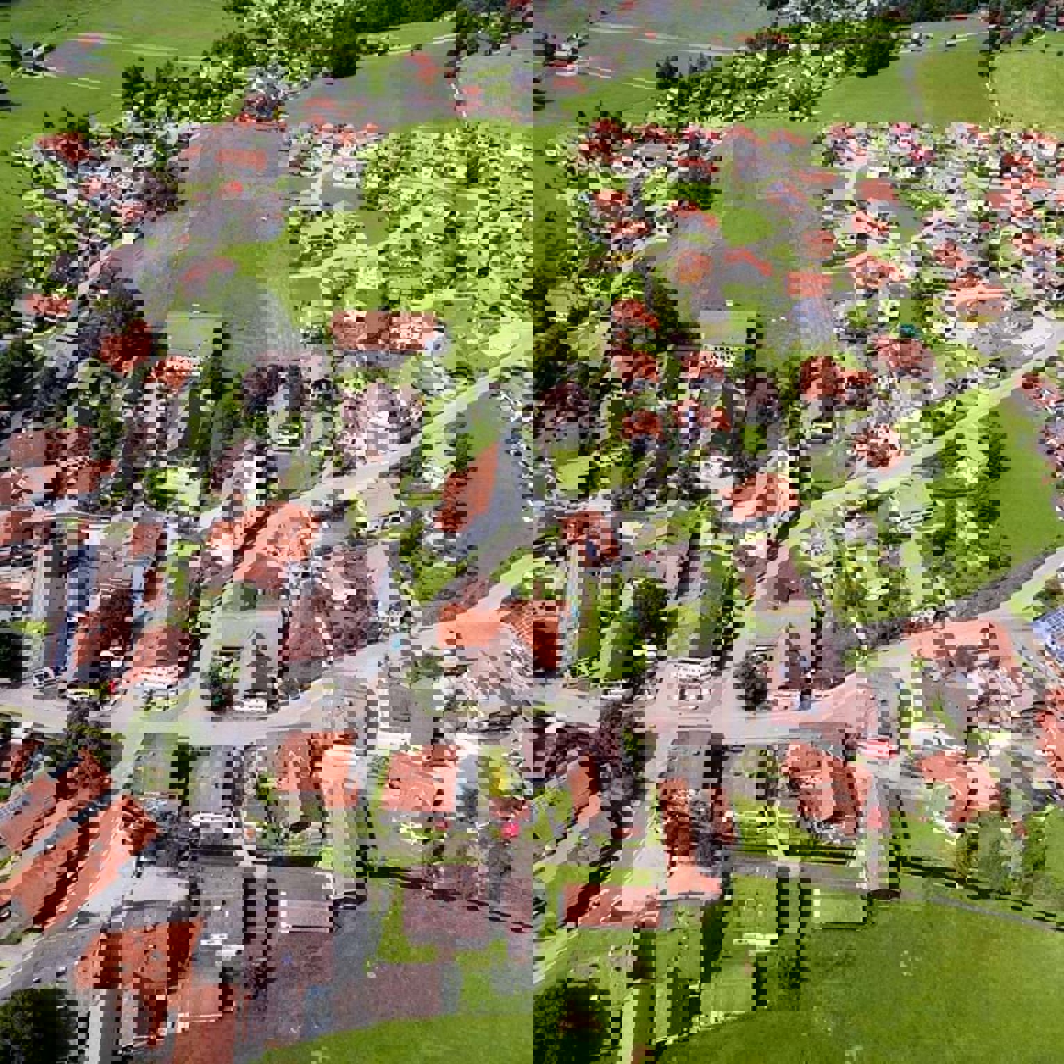 Clone town survey - RGS