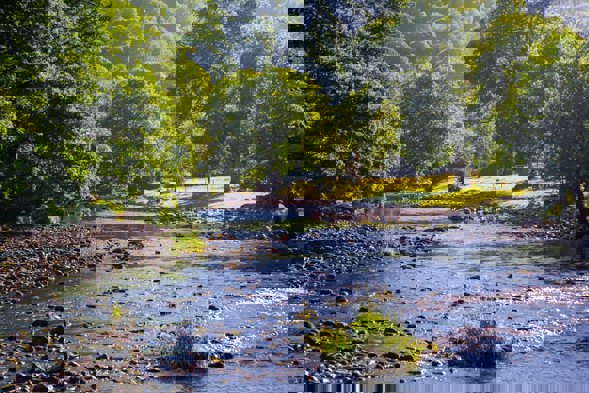 Rivers fieldwork techniques - RGS