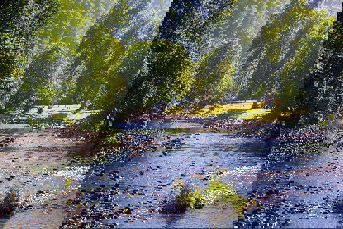 Rivers fieldwork techniques - RGS