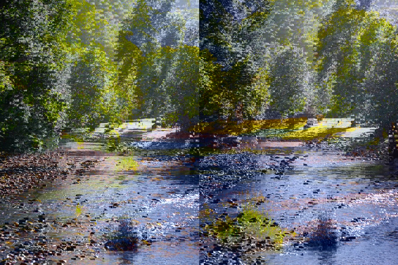 Rivers fieldwork techniques - RGS