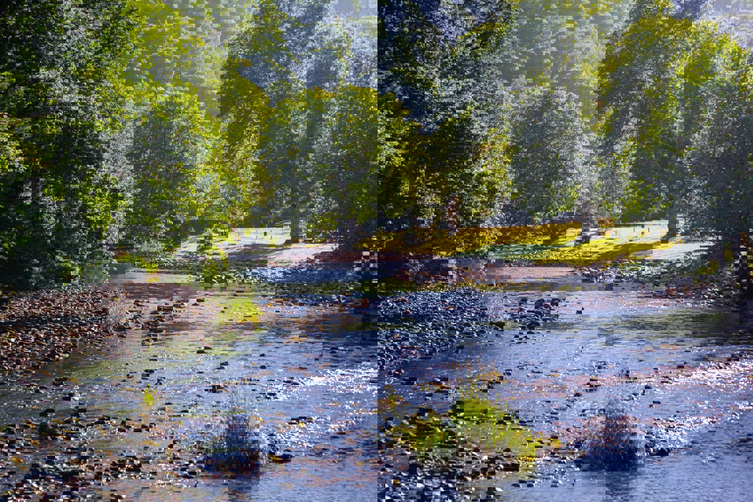 Rivers fieldwork techniques - RGS