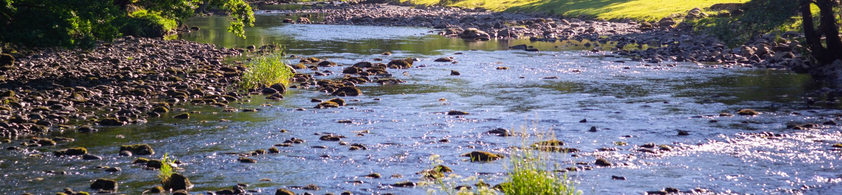 Rivers fieldwork techniques - RGS