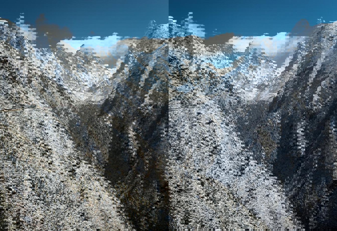 Earthwatch Europe - RGS