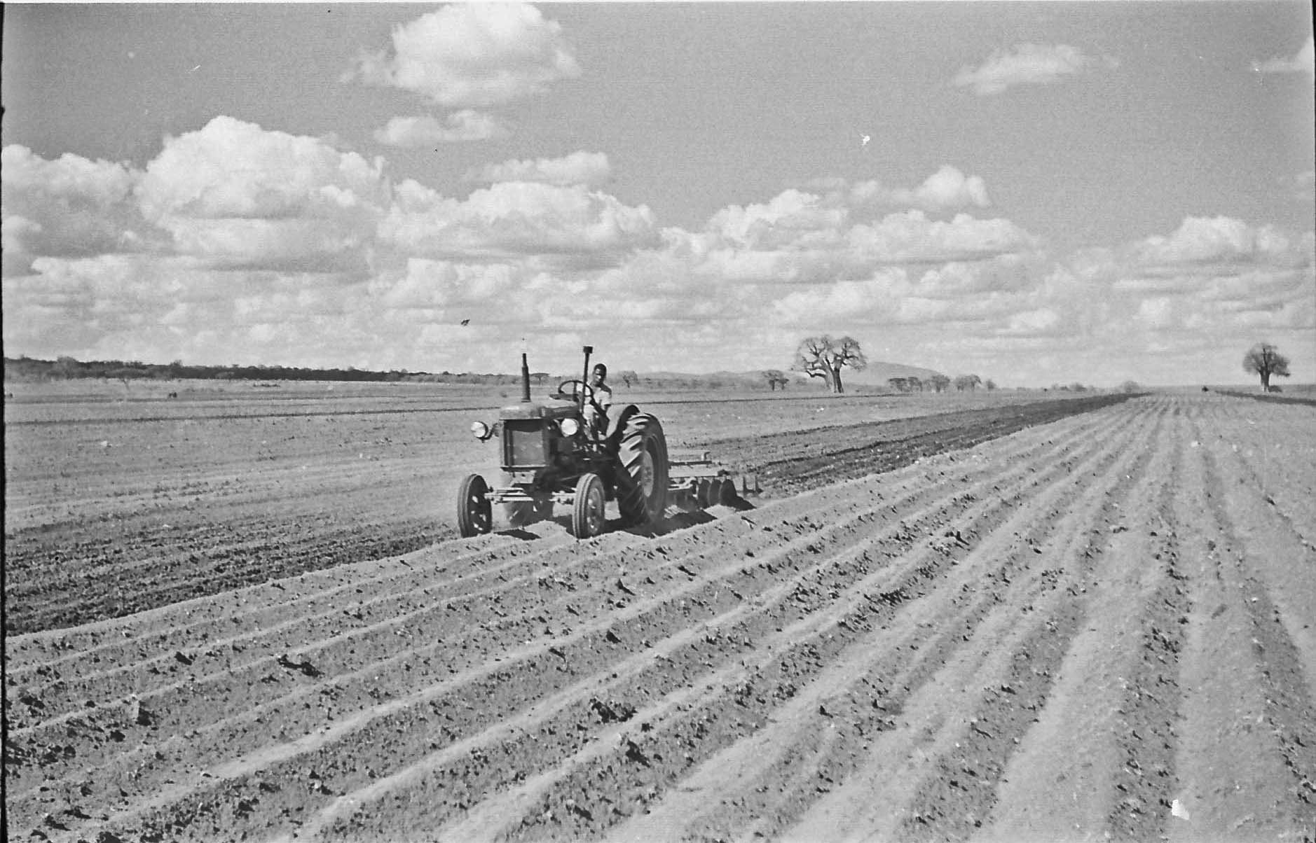 Dr Nick Westcott on the Tanganyika Groundnut Scheme - RGS