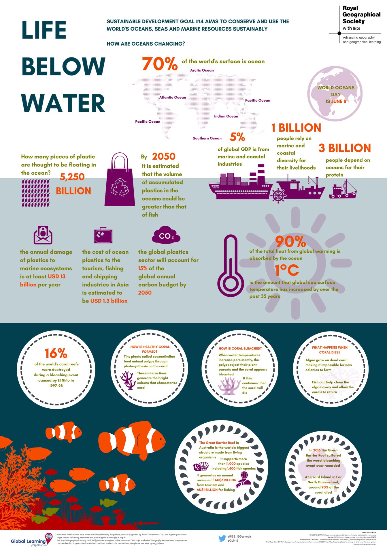 Life below water infographic - RGS