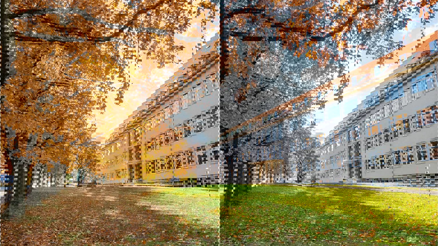 Principles for undergraduate field courses - RGS