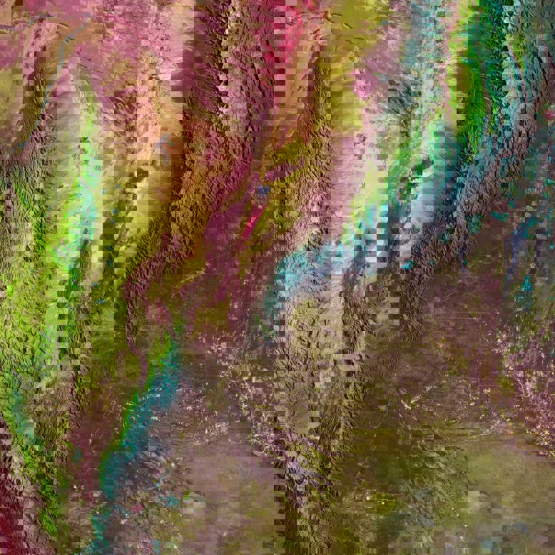 Use geography: careers in mapping, GI and data science - RGS